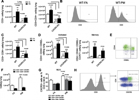 Isolation of CD4+ T Cells from Murine Lungs | Society for Mucosal ...